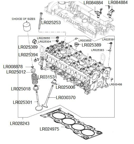 Cylinder Head & Valves