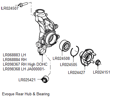 Rear Hub & Bearing