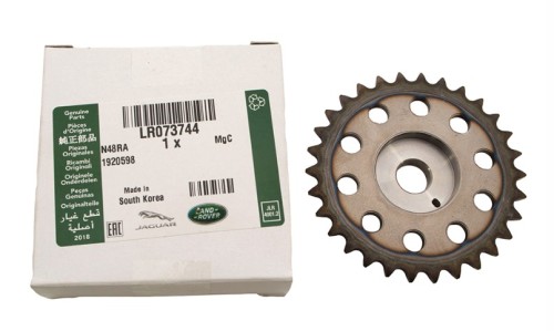 Timing Chain