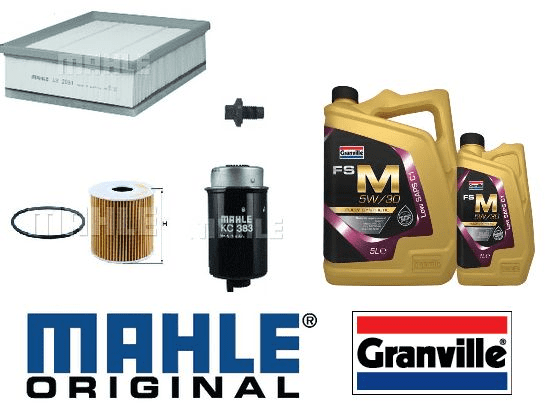 KIT119MGP Original Mahle Filter Kit with Granville Oil DPF Def Puma ...