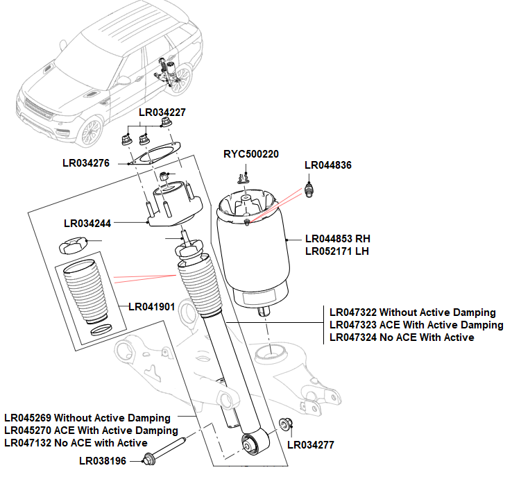 Rear Shock Absorbers