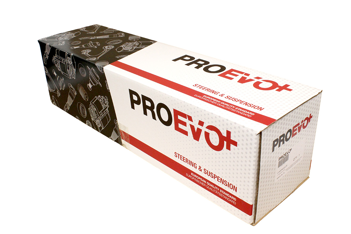 RPD501090 Dunlop Rear Damper assembly RPD000309