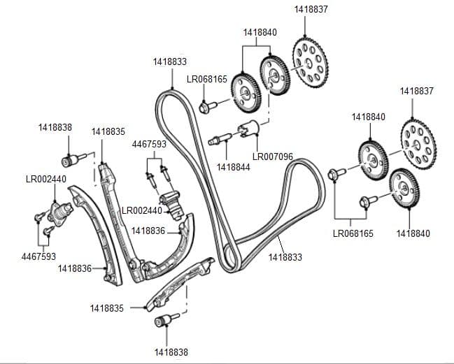 Timing Chain & Gear